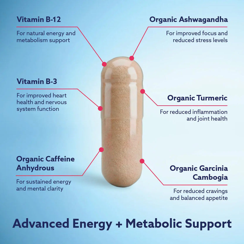FITTEAM Official Store | Organic Energy & Hydration Supplements